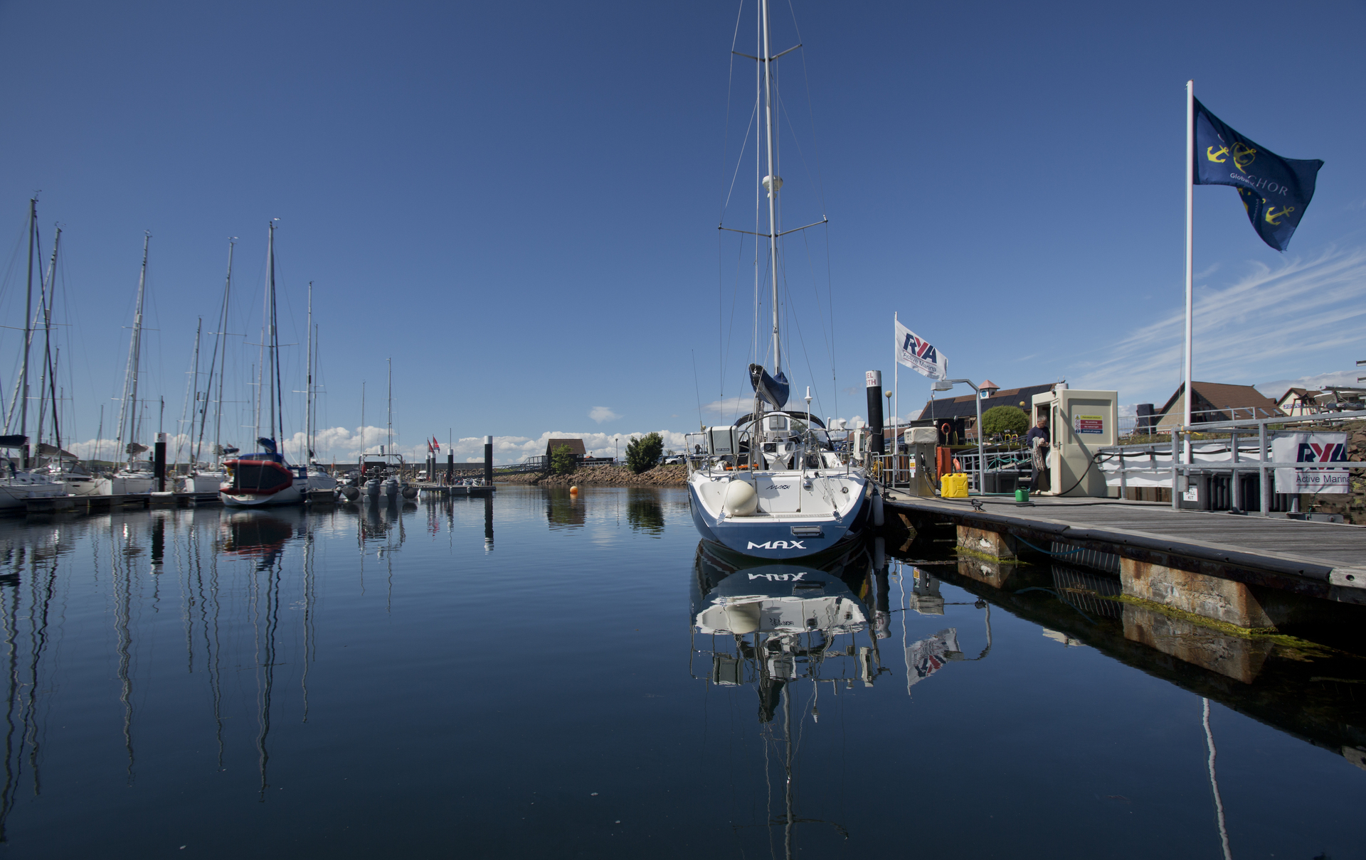 Largs Photographer's Close Encounter | News | Largs Yacht Haven