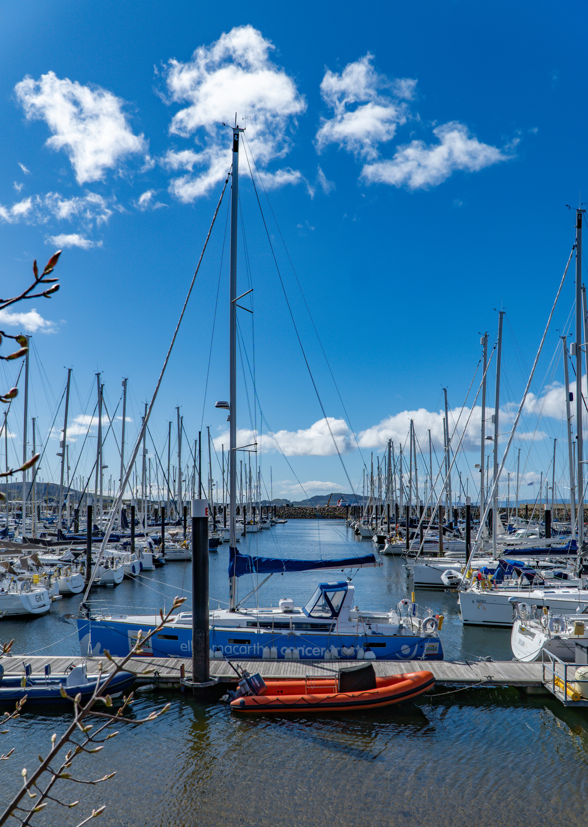 Gallery | Photos and Videos | Largs Yacht Haven